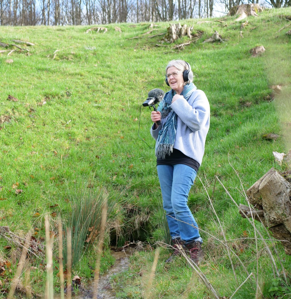 Podcasts – Christina Wheeler